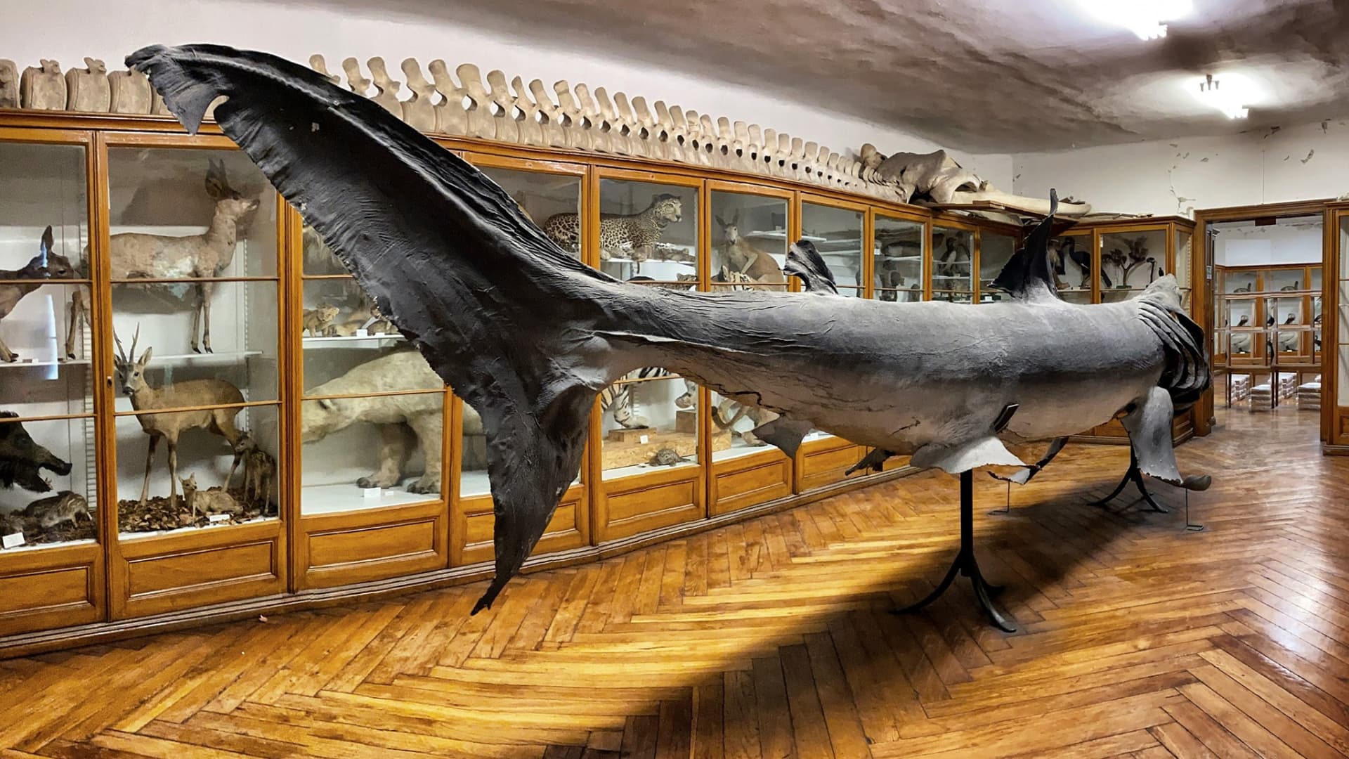 33 Best museums in Zagreb that you MUST visit (in 2023) - CRO Croatia