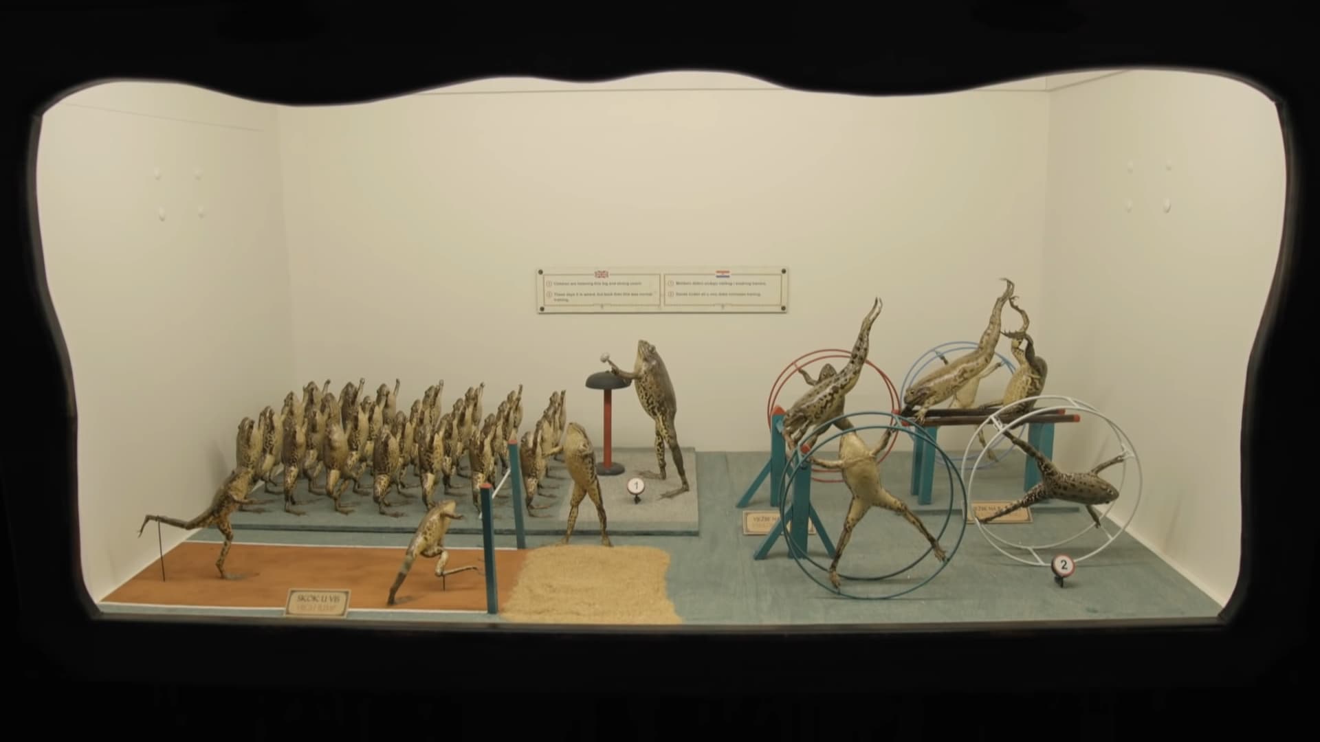 17 Best Museums in Split that you MUST visit (in 2026) - CRO Croatia