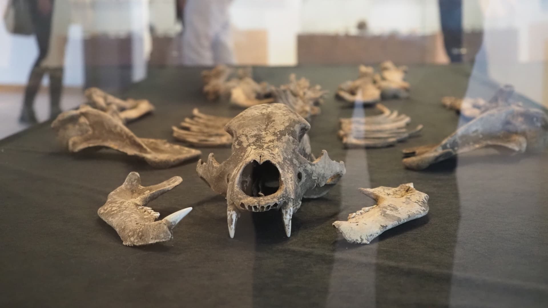 17 Best Museums in Split that you MUST visit (in 2026) - CRO Croatia